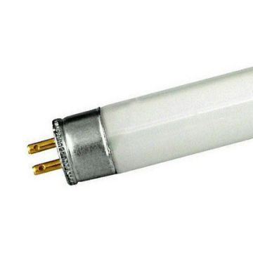 Replacement bulbs > Fluorescent tubes > T4
