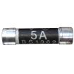 SP5: 5A Plug Top Fuse, BS1362 : Lyvia Electrical - £0.17