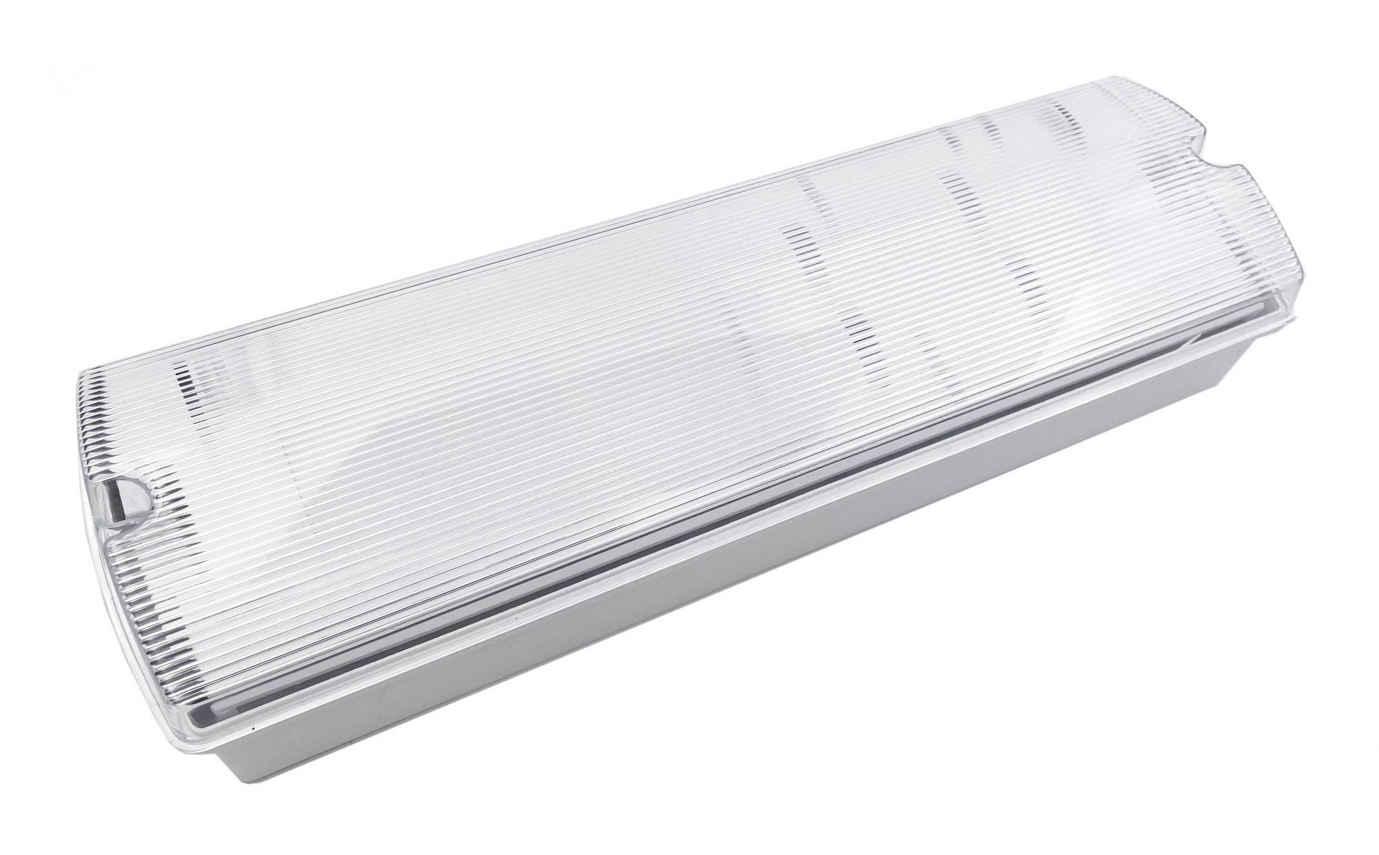 EM-LED-BH1DP: Maintained LED Bulkhead, IP65, White, 3.5w