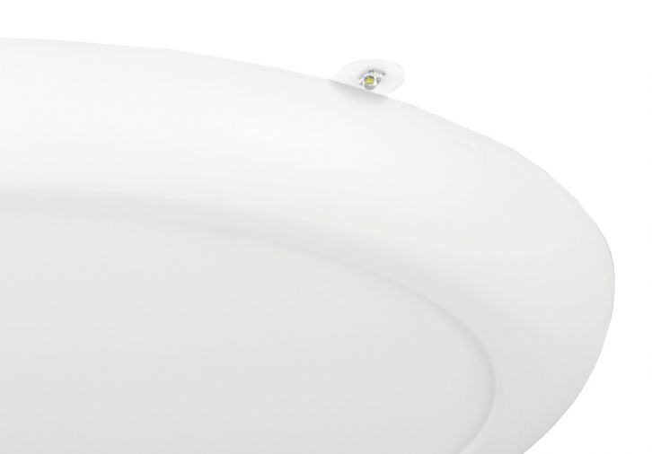 EMPAD01: Neka Emergency LED Downlight, 1w : Kosnic
